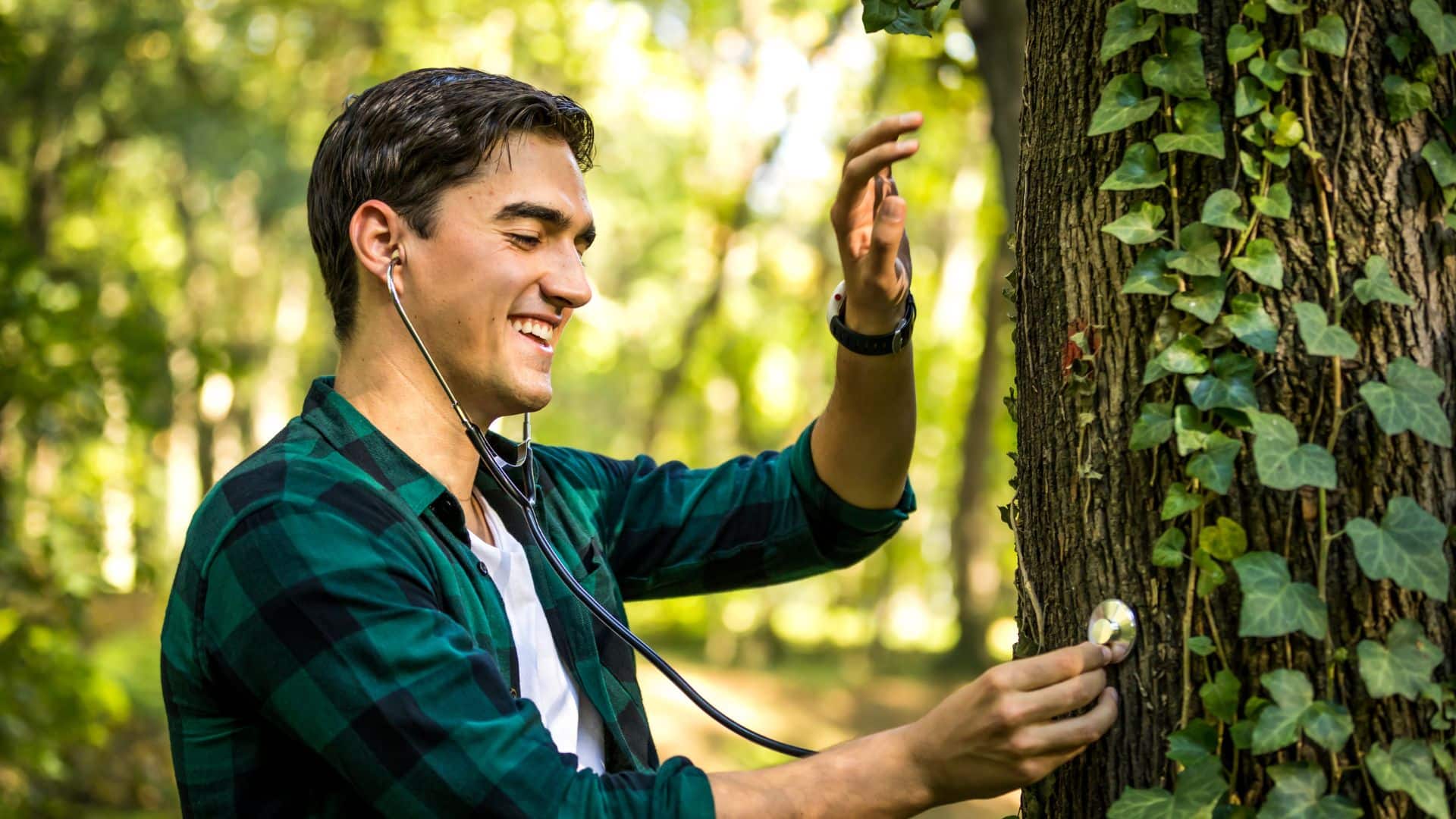 Key Tree Health Indicators | Marquis Tree Service