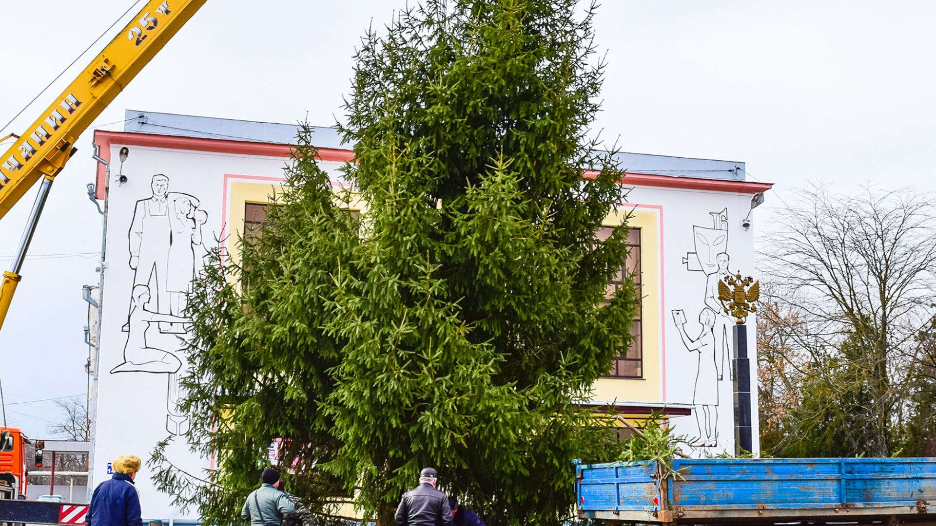 Crane-Assisted Tree Service Experts | Marquis Tree Service