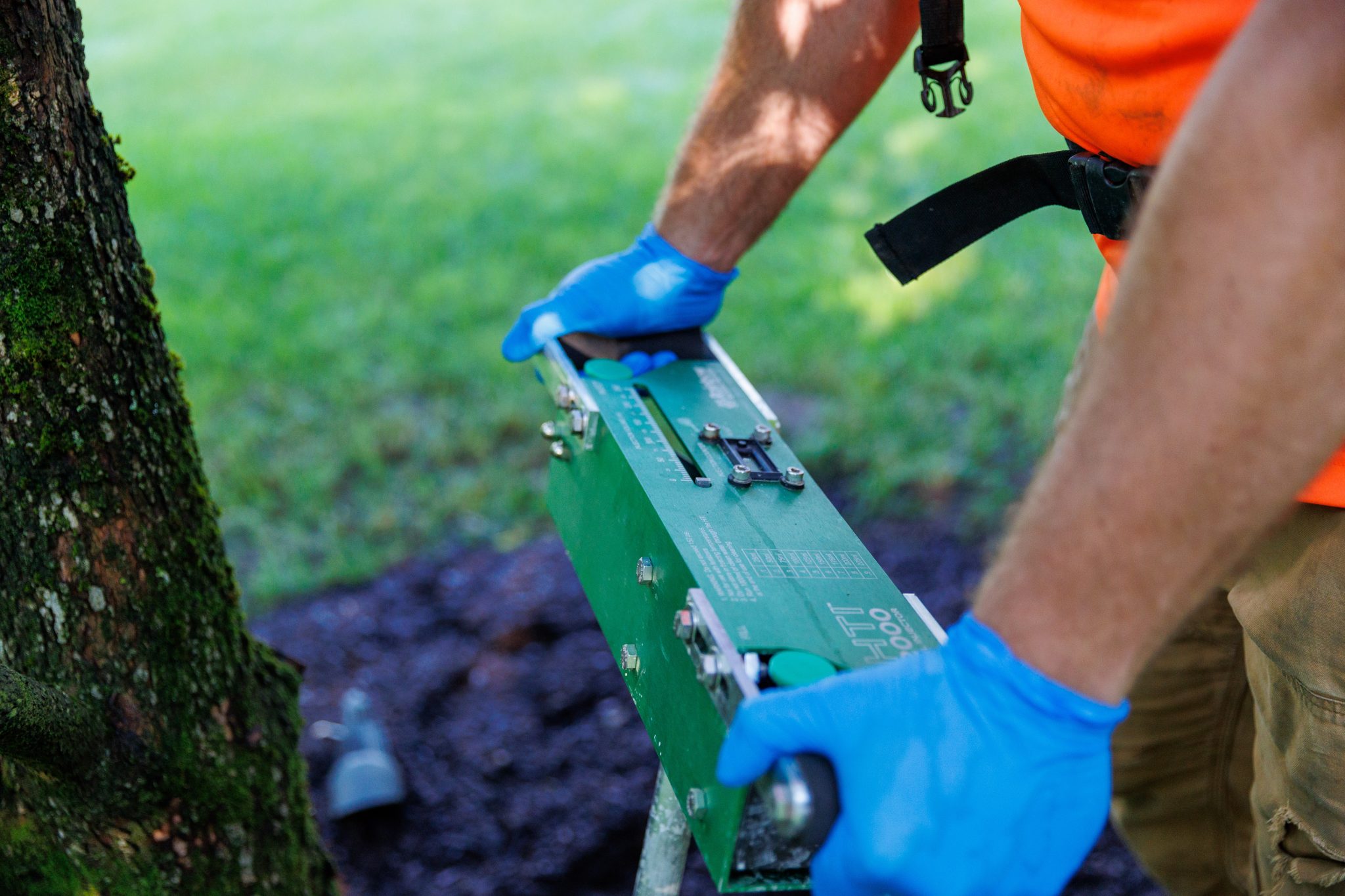 Trusted Plant Health Care Services | Marquis Tree Service