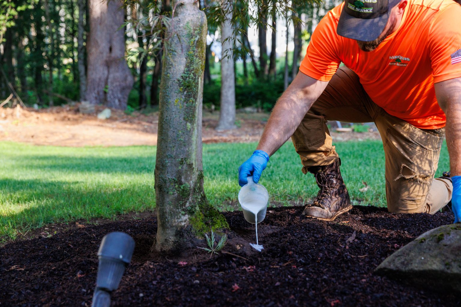 Trusted Plant Health Care Services | Marquis Tree Service
