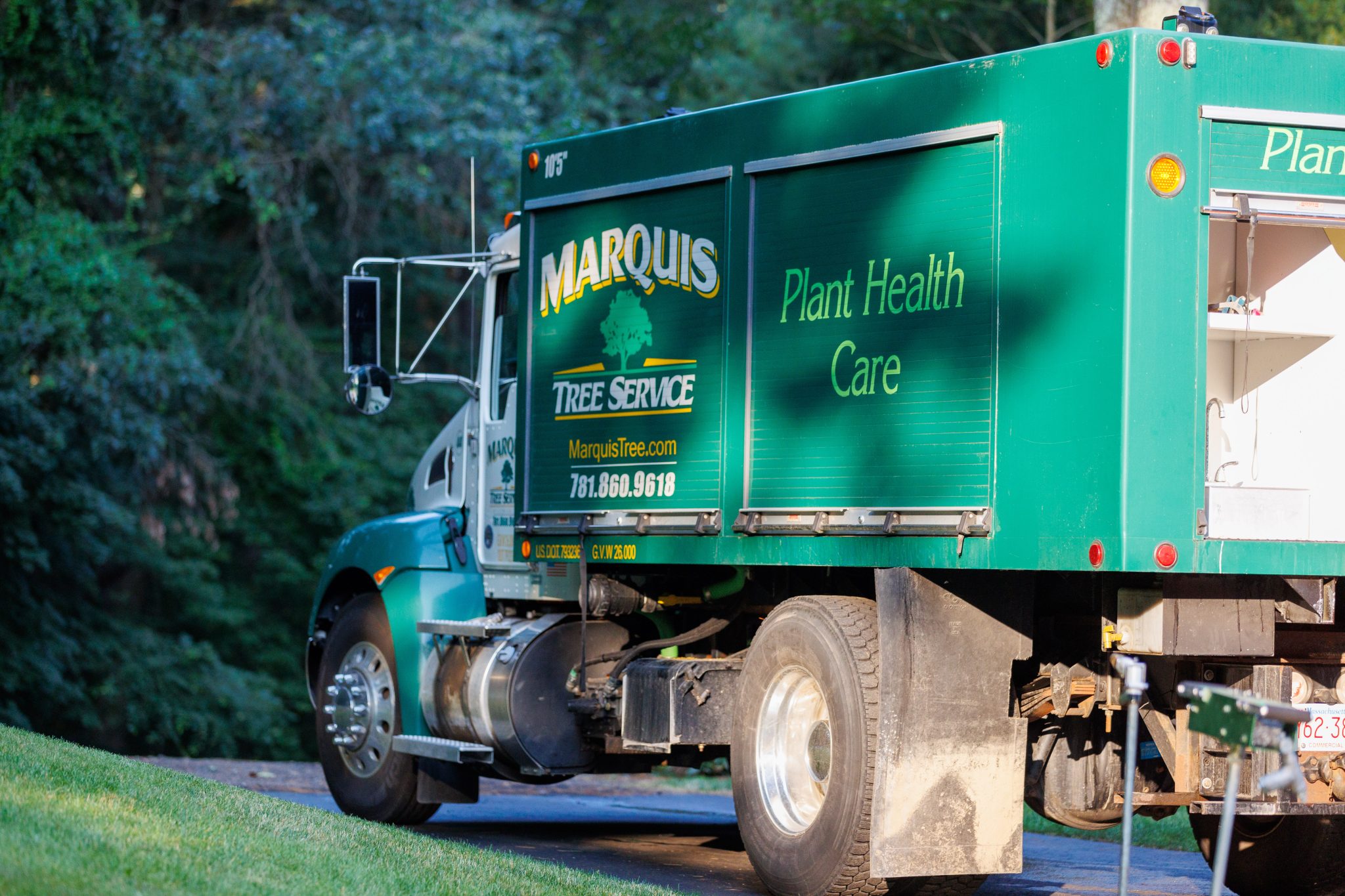 Trusted Plant Health Care Services | Marquis Tree Service