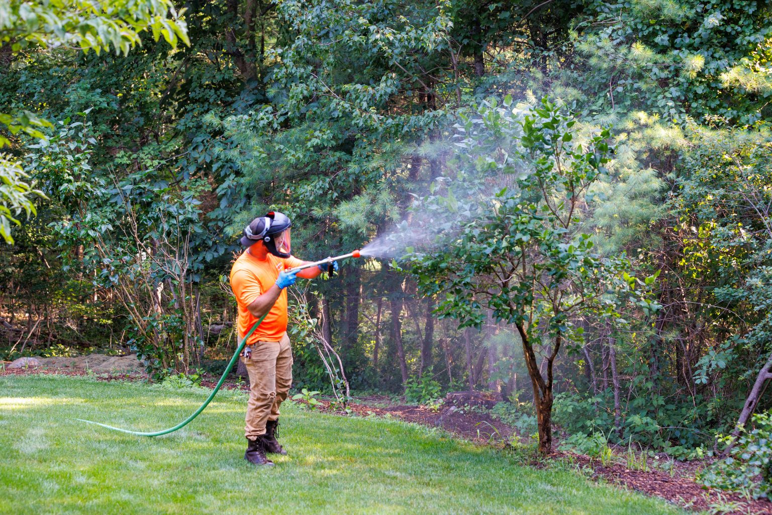 Trusted Plant Health Care Services | Marquis Tree Service