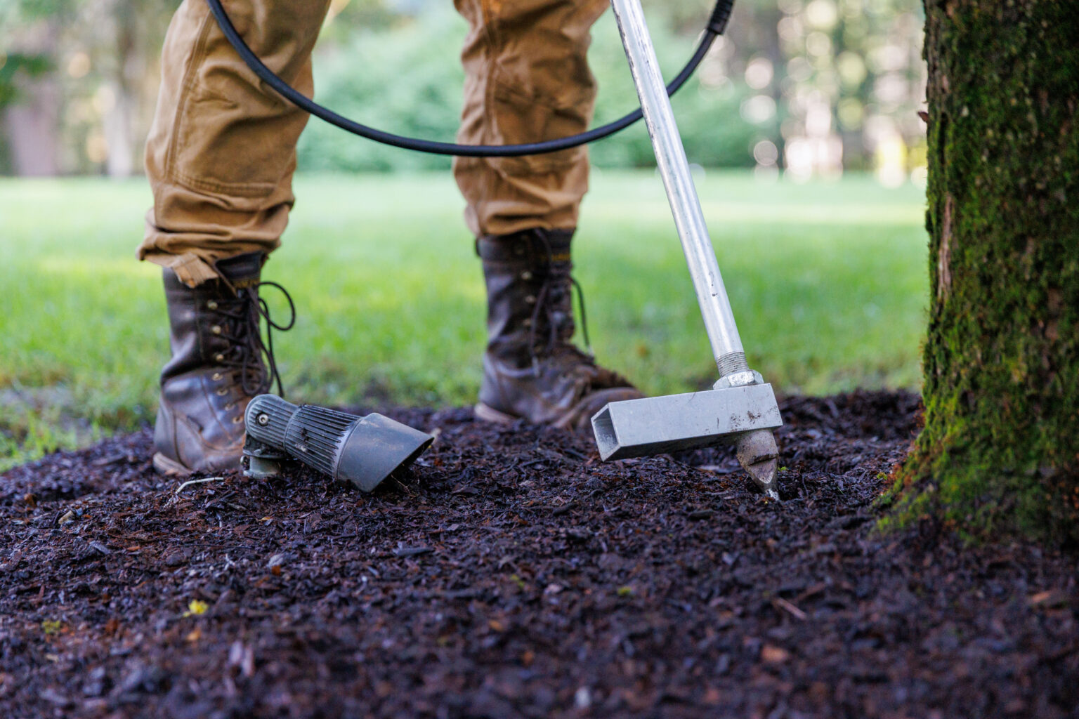 May 26, 2026 - Marquis Tree Service